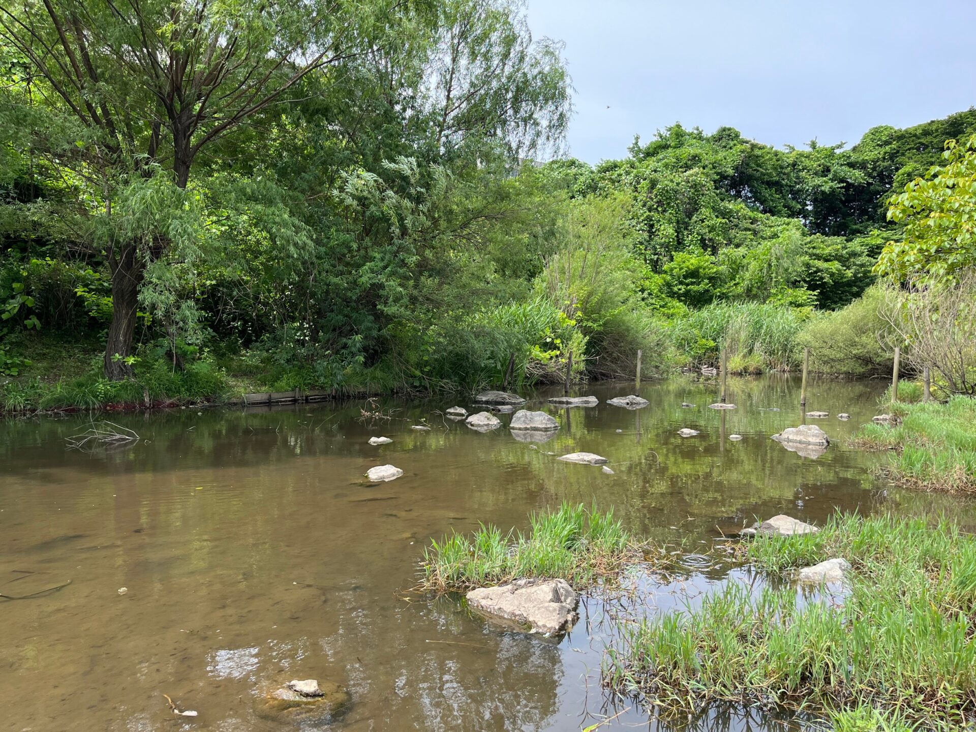 赤羽自然観察公園 - 北区・赤羽地区