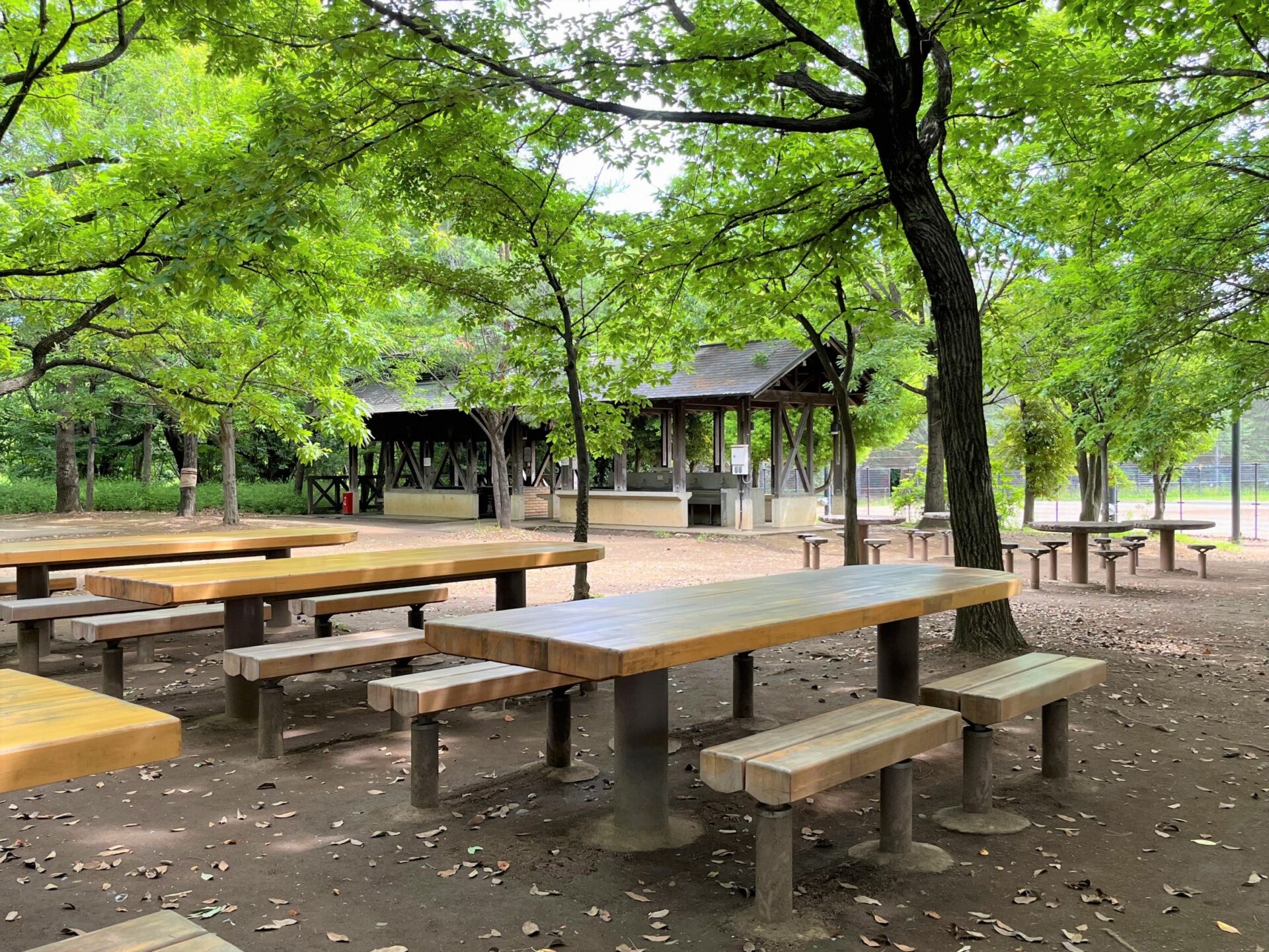 赤羽自然観察公園 - 北区・赤羽地区